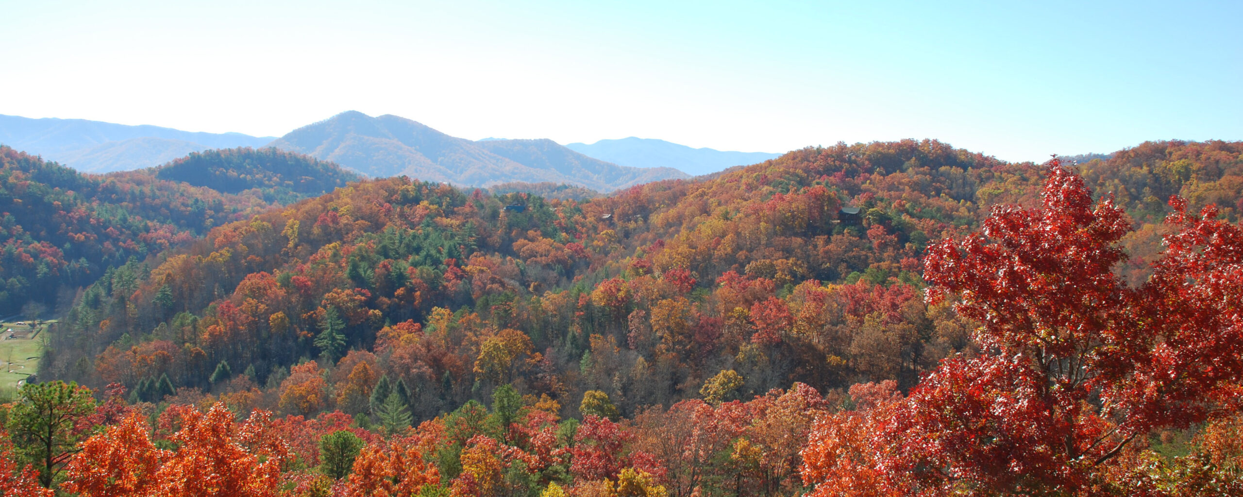 Location and Cabin Design - Shiloh Mountain Cabins